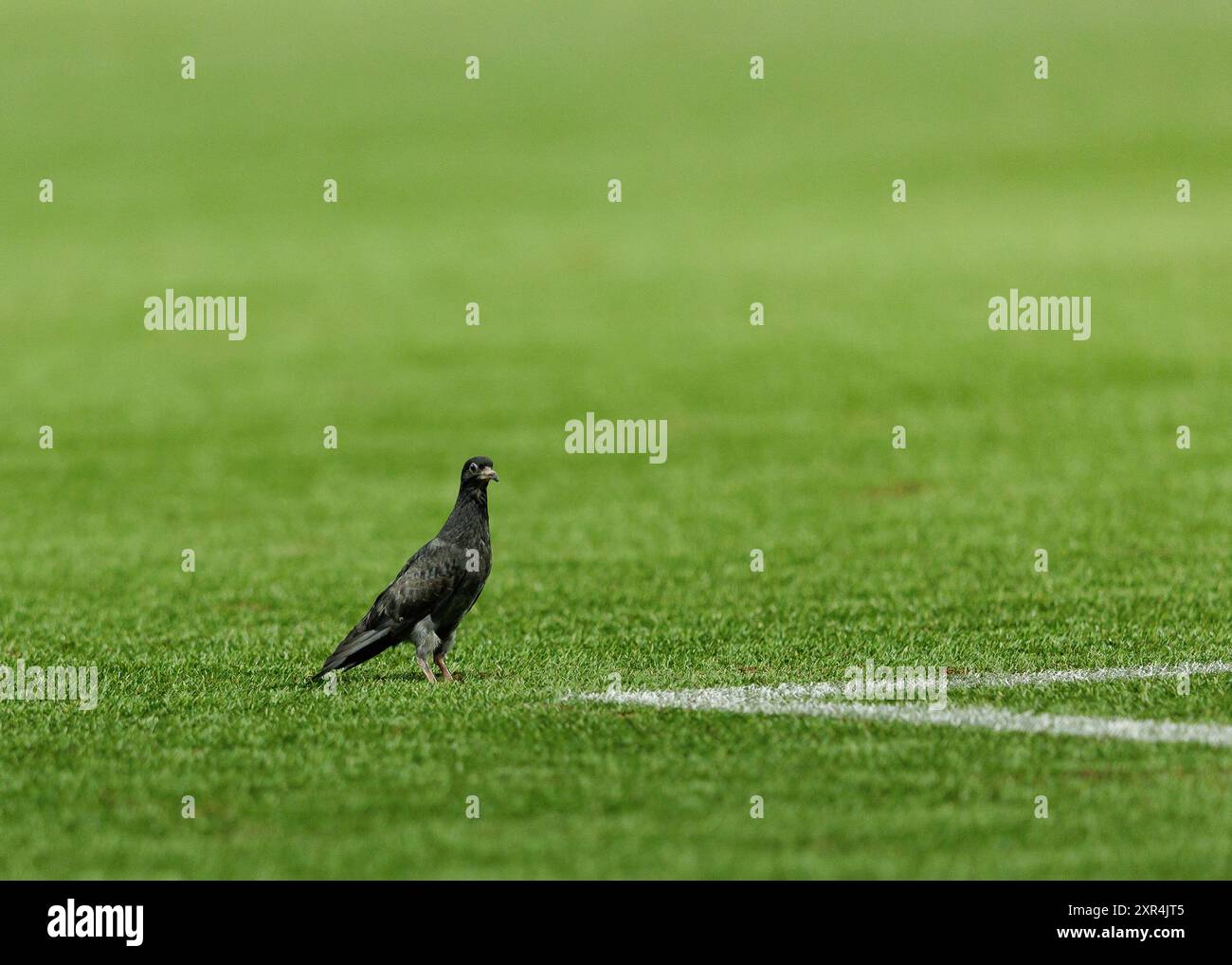 Sao Paulo, Brazil. 07th August, 2024. Soccer Football - Betano Cup of ...