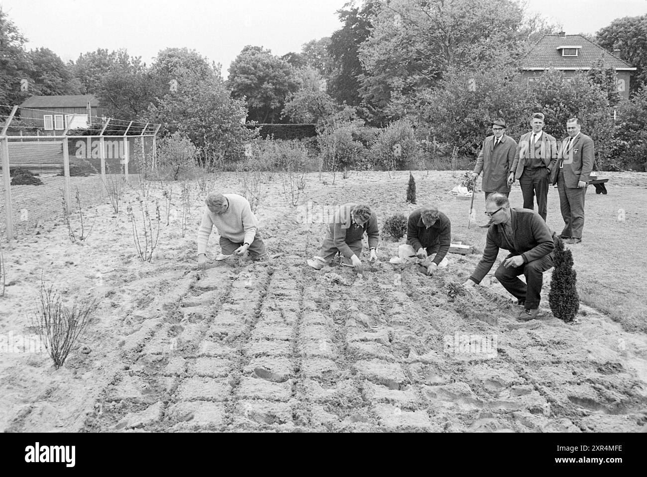 Park; planting plants, 21-05-1969, Whizgle Dutch News: Historic Images ...