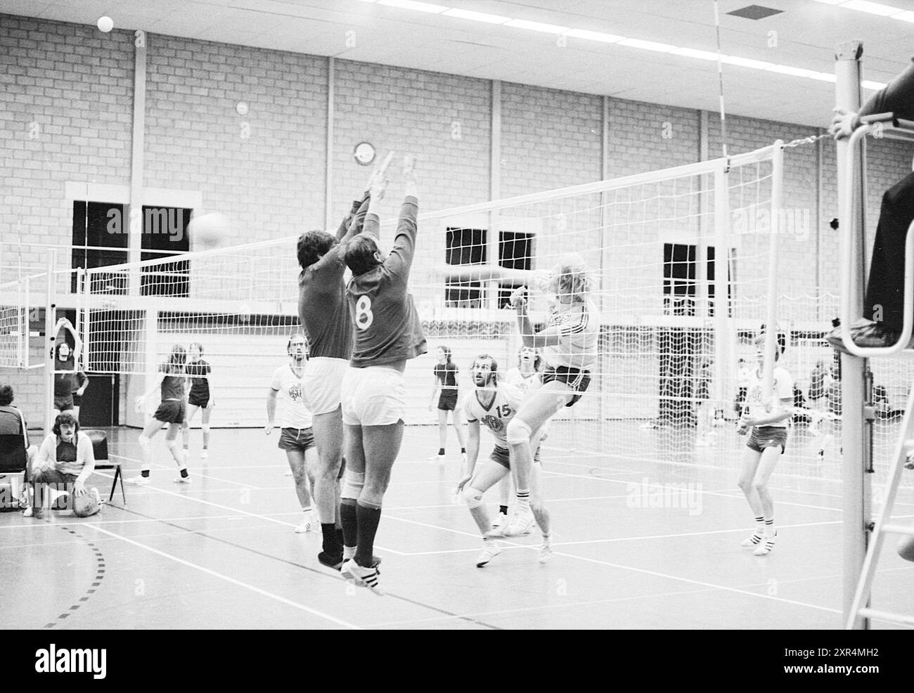 Ovra - P.S.V.H., Volleyball, 24-01-1977, Whizgle Dutch News: Historic ...