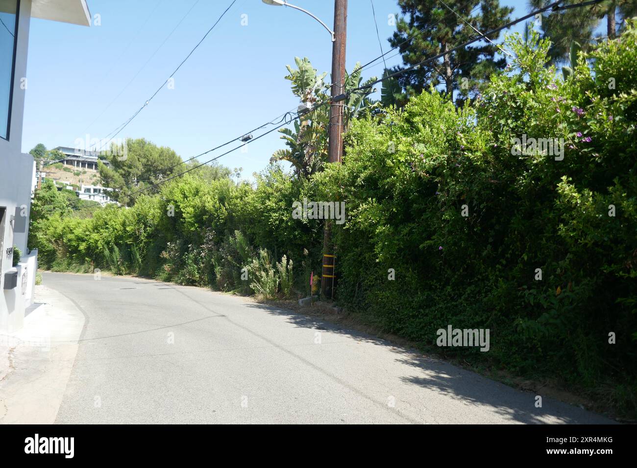 Los Angeles, California, USA 6th August 2024 Rapper/Singer Bad Bunny ...