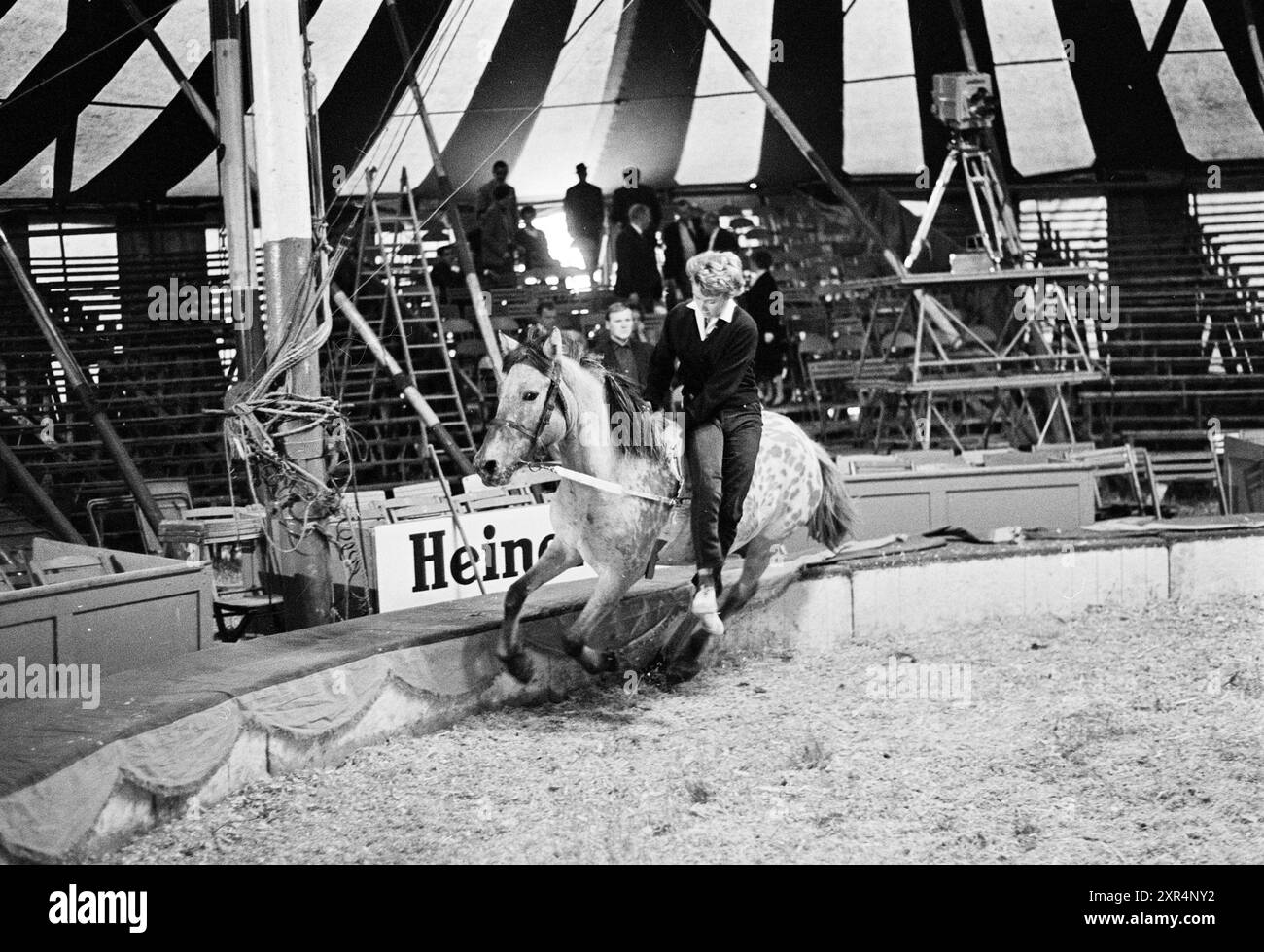 Circus Toni Boltini and shooting bear, Circus, 19-05-1962, Whizgle ...