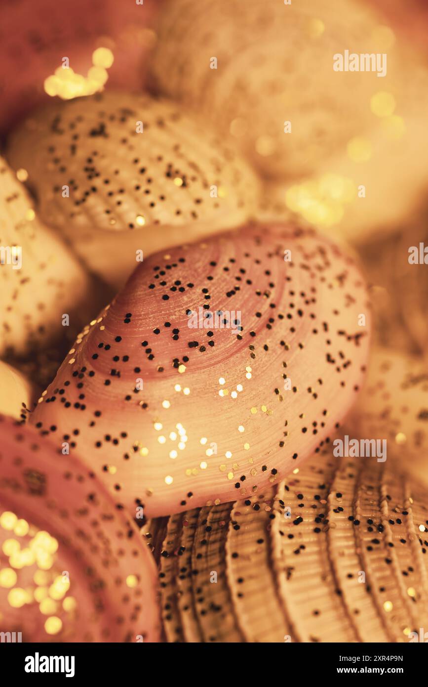 Ocean mollusk shells. Seashells. Seashell background. Texture of the ...