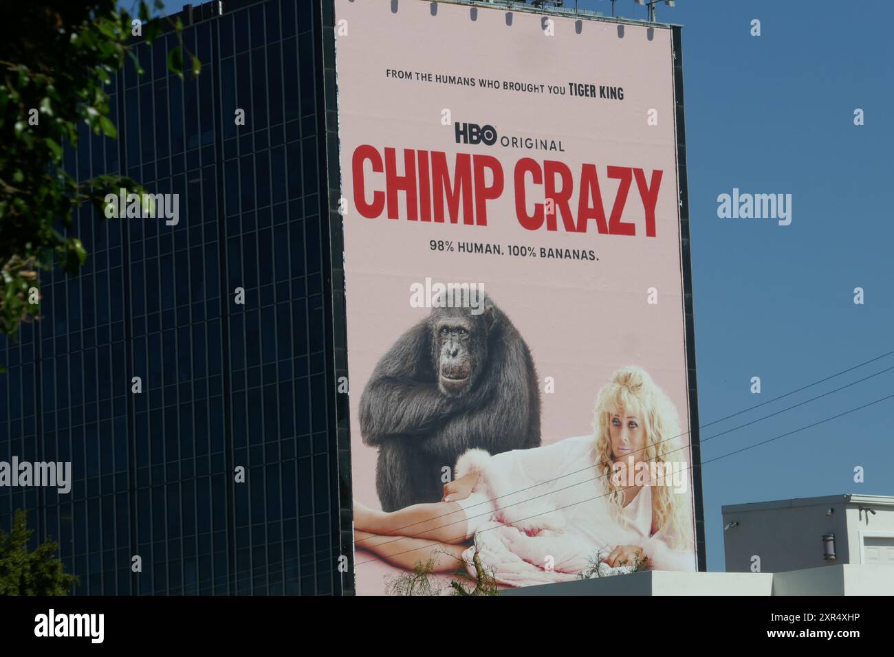 Los Angeles, California, USA 6th August 2024 Chimp Crazy HBO Billboard ...