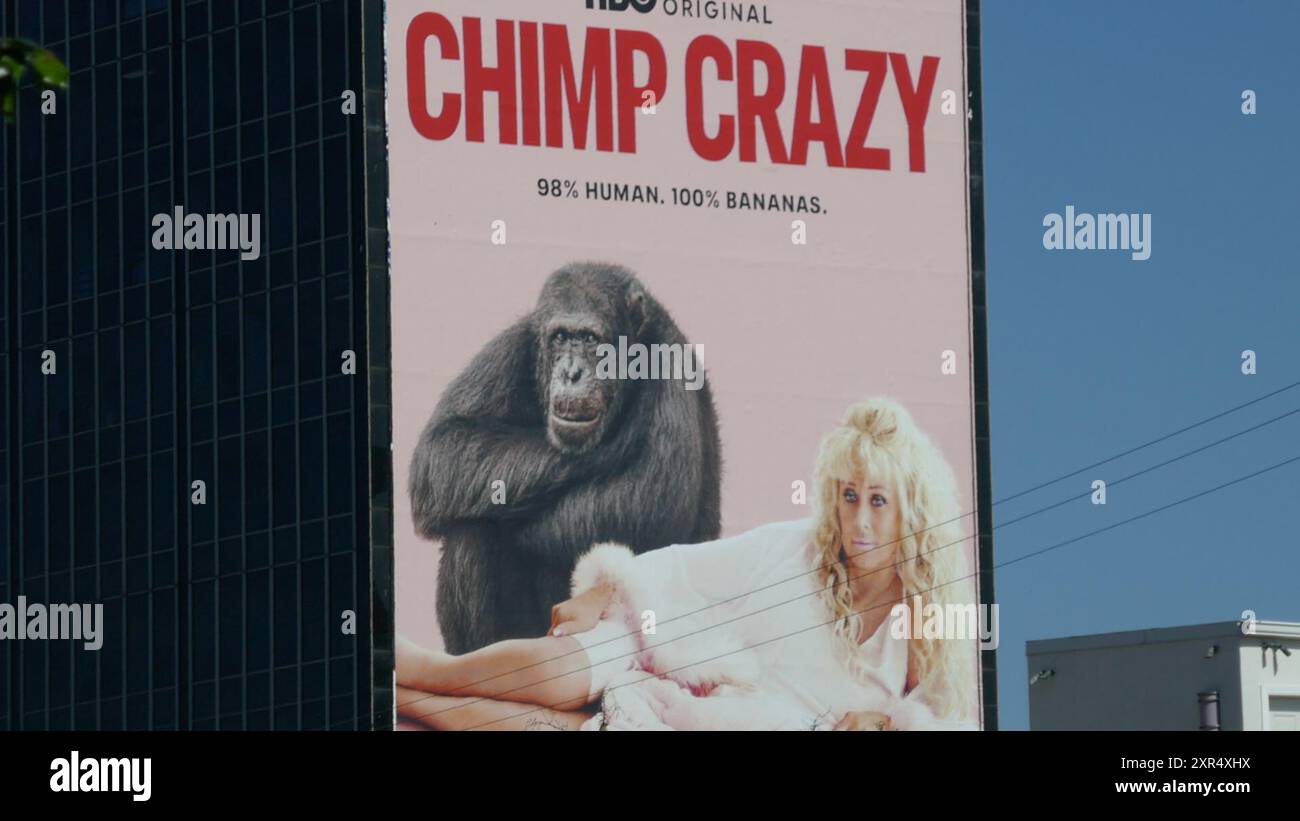 Los Angeles, California, USA 6th August 2024 Chimp Crazy HBO Billboard ...
