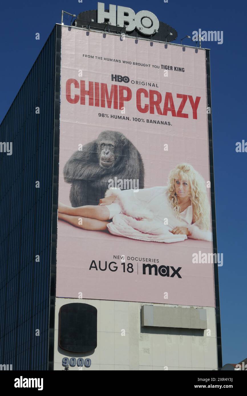 Los Angeles, California, USA 6th August 2024 Chimp Crazy HBO Billboard ...