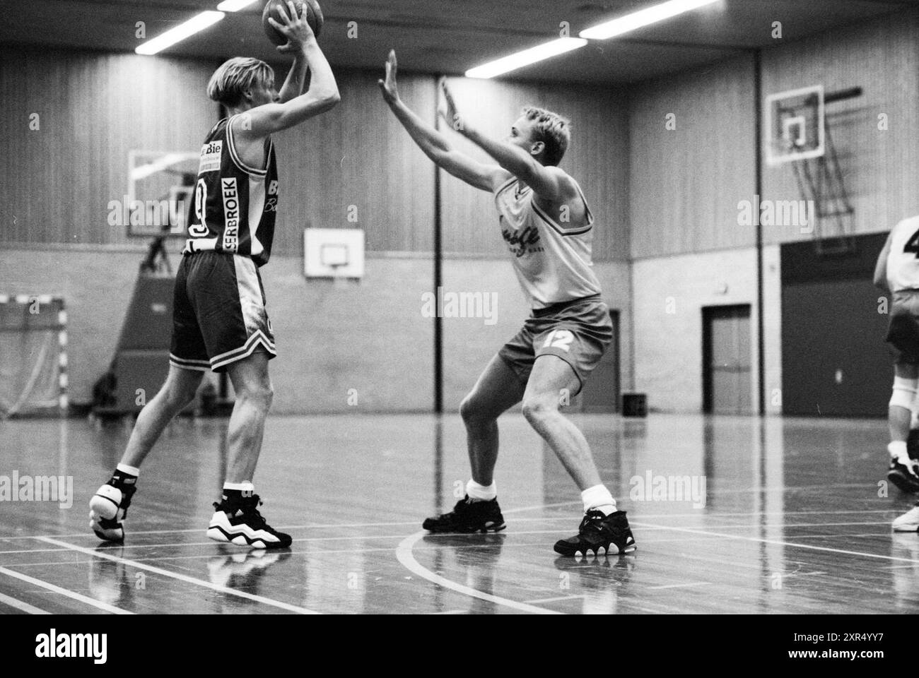 Akrides werkendam hi-res stock photography and images - Alamy