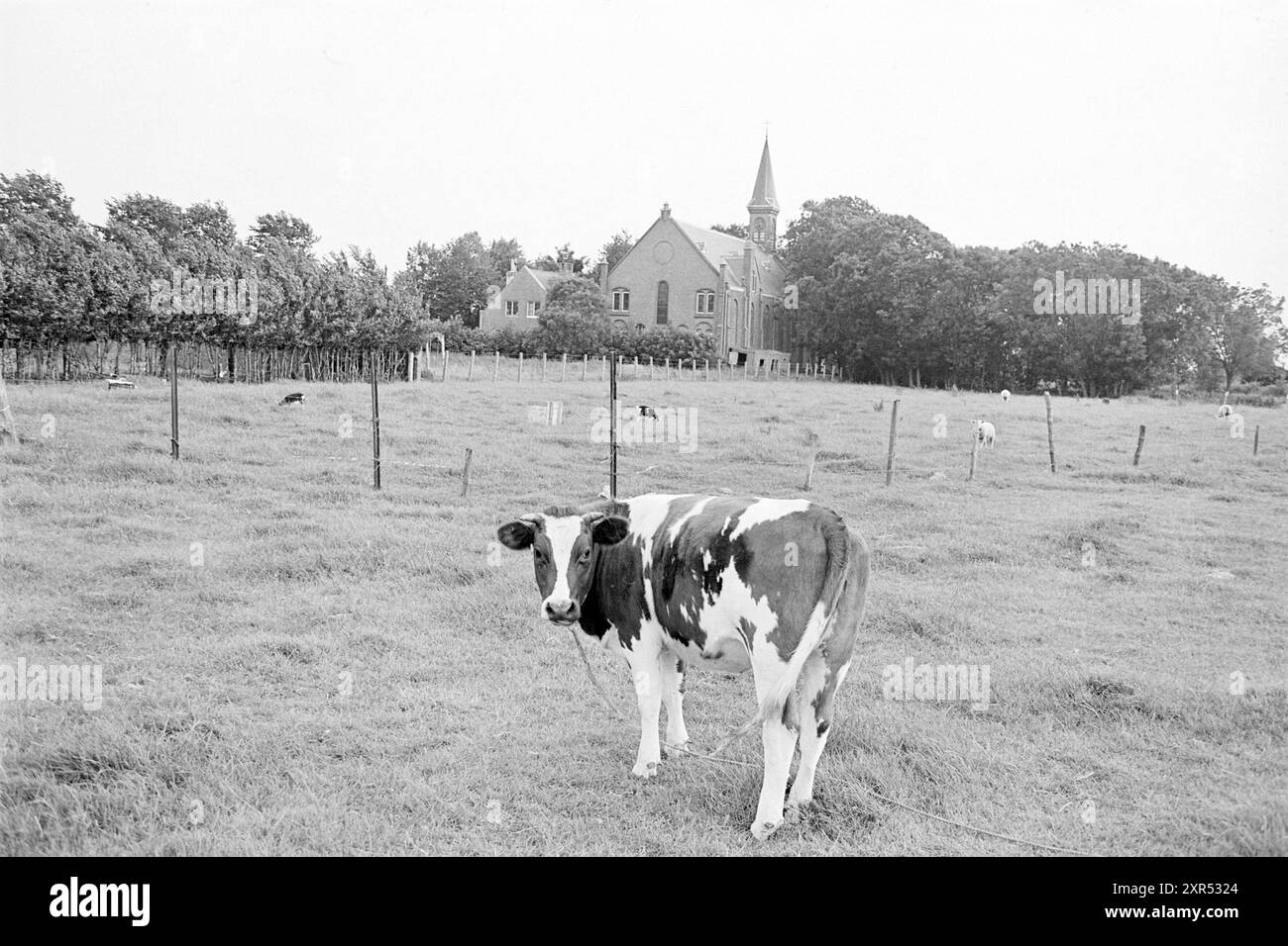 10 07 1974 hi-res stock photography and images - Alamy