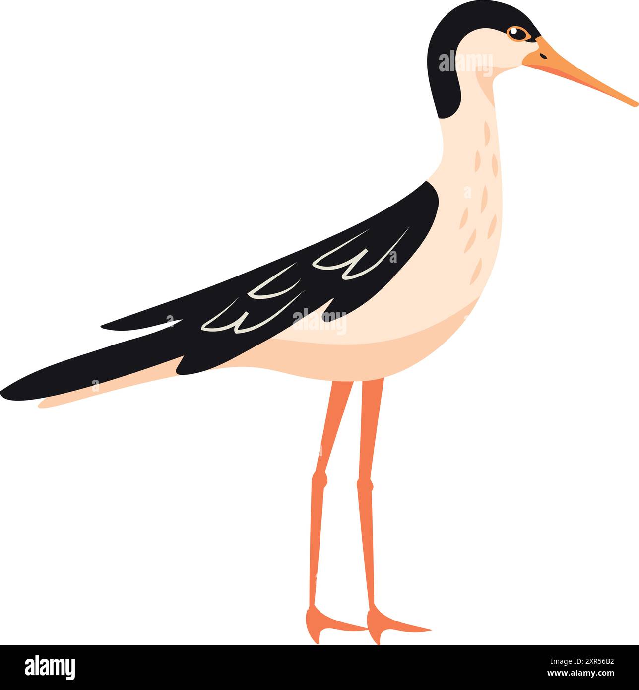 Birdwatching coast Cut Out Stock Images & Pictures - Alamy