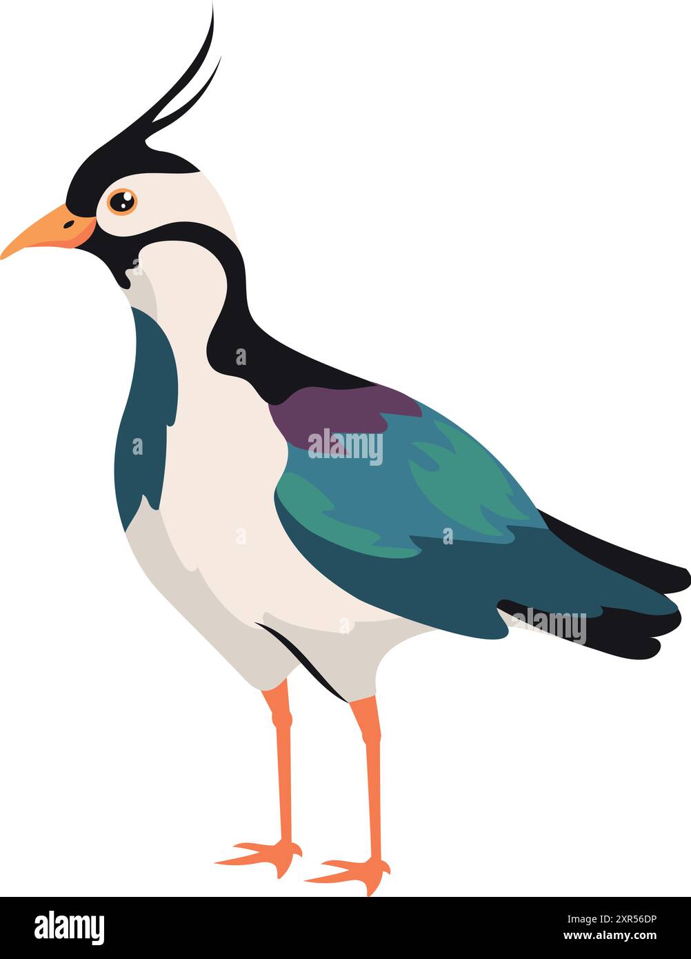 lapwing bird cartoon Stock Vector Image & Art - Alamy