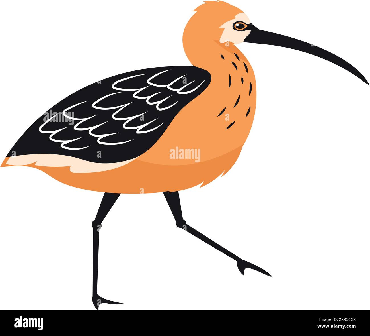 Ibis water Stock Vector Images - Alamy
