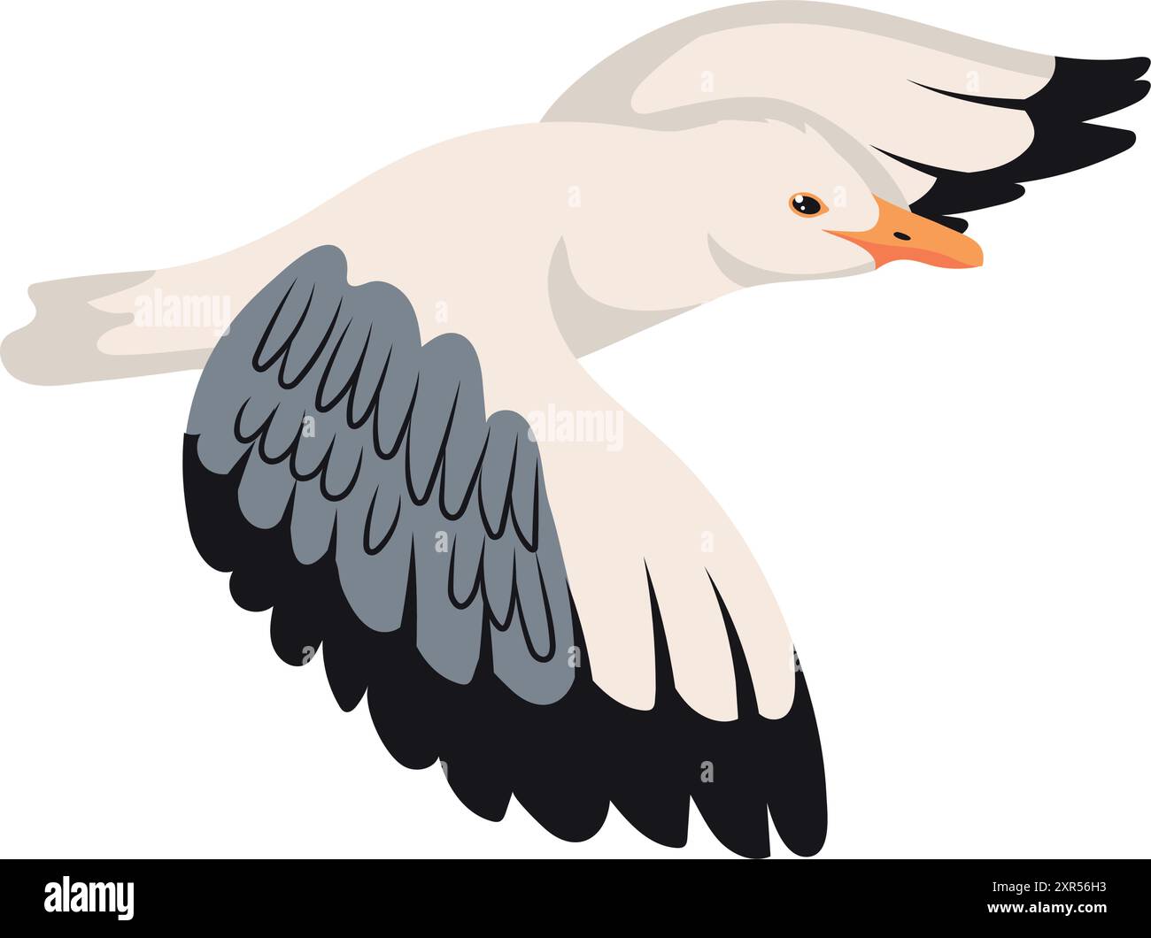 Flying shorebirds Stock Vector Images - Alamy