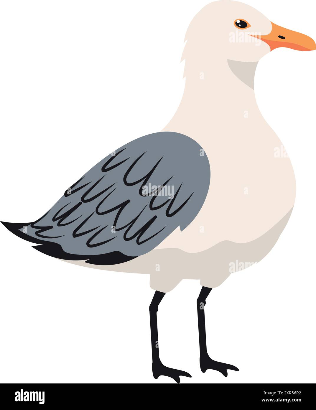 Aquatic bird seabird Stock Vector Images - Alamy