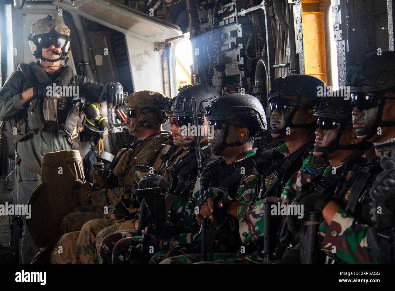 U.S. Marines assigned to the Aviation Combat Element (ACE) from Marine ...