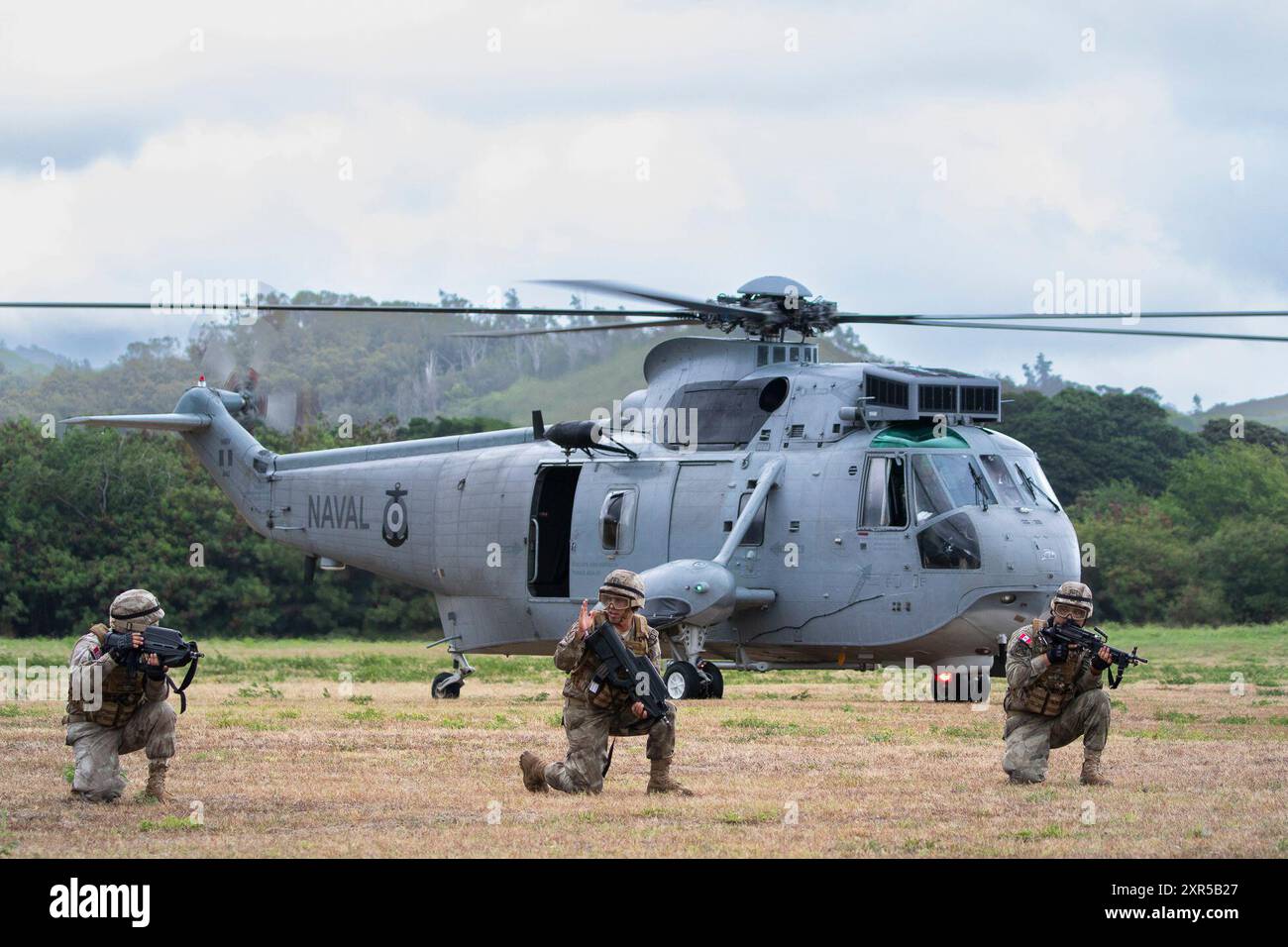Peruvian naval infantry hi-res stock photography and images - Alamy