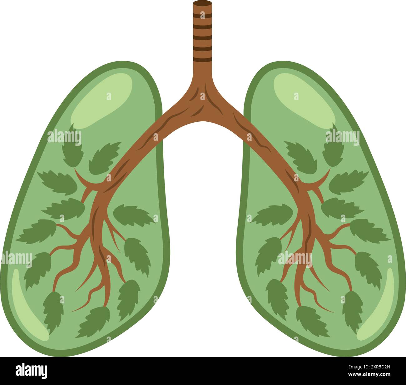 clean air green human lungs Stock Vector Image & Art - Alamy
