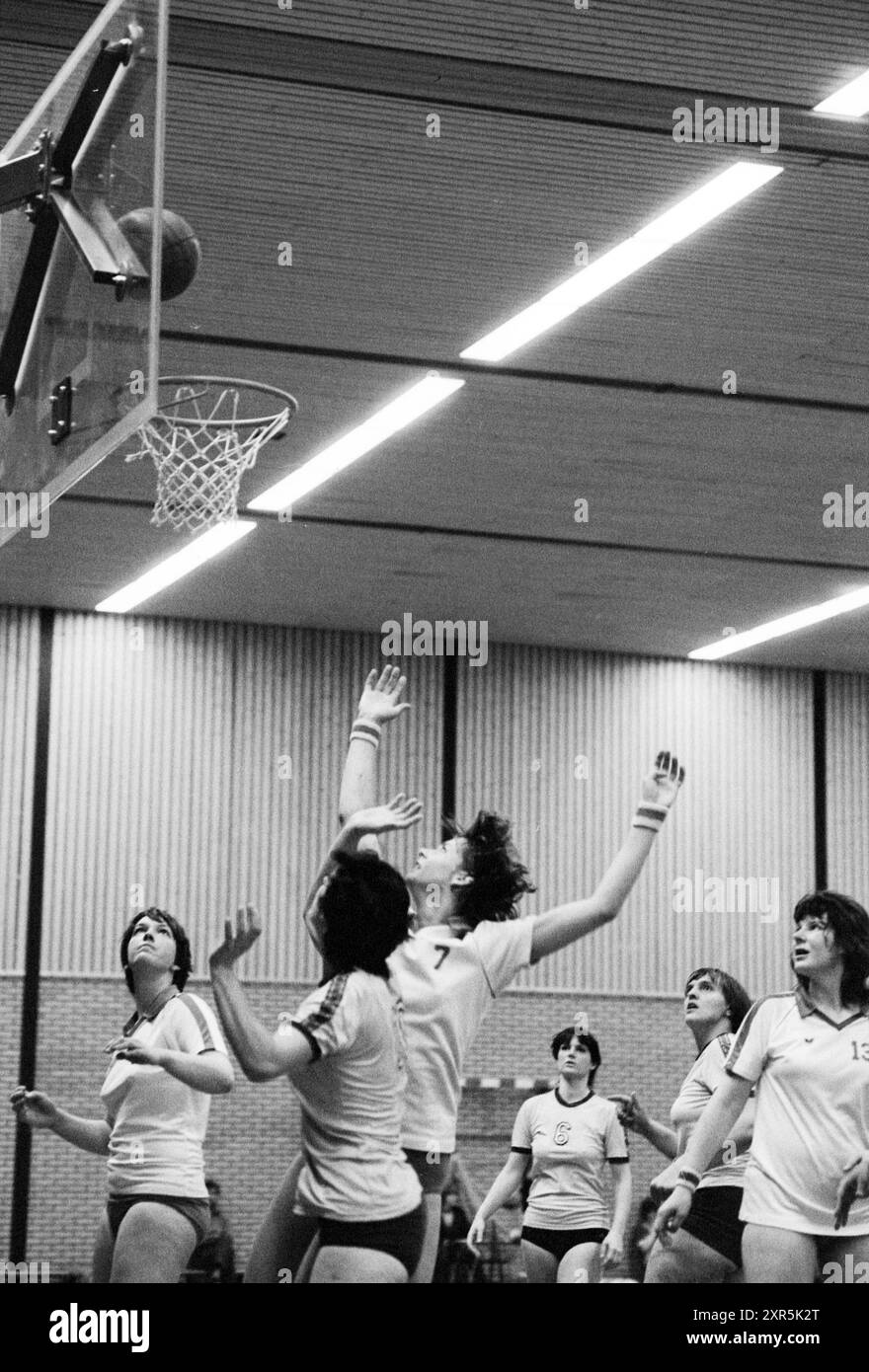 Women's team basketball game photo, team photo and victory celebration ...