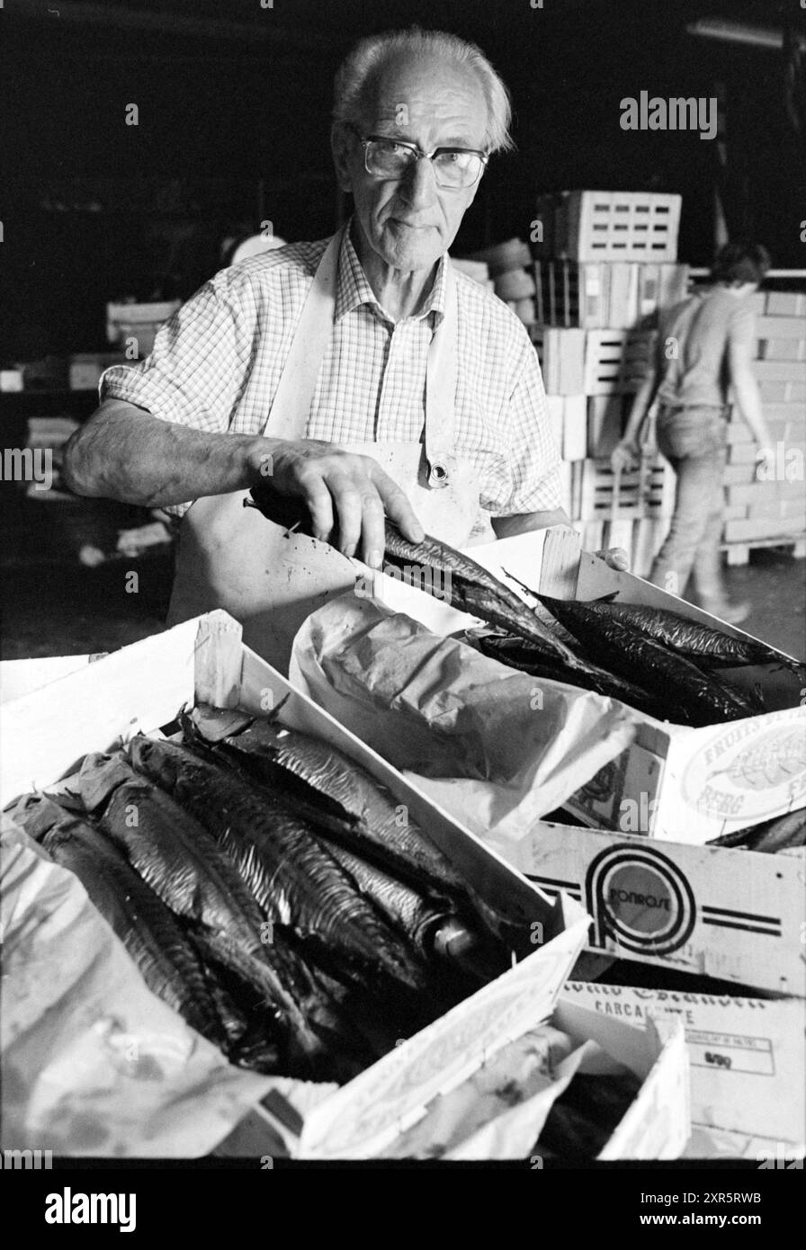 Visserij et al hi-res stock photography and images - Alamy