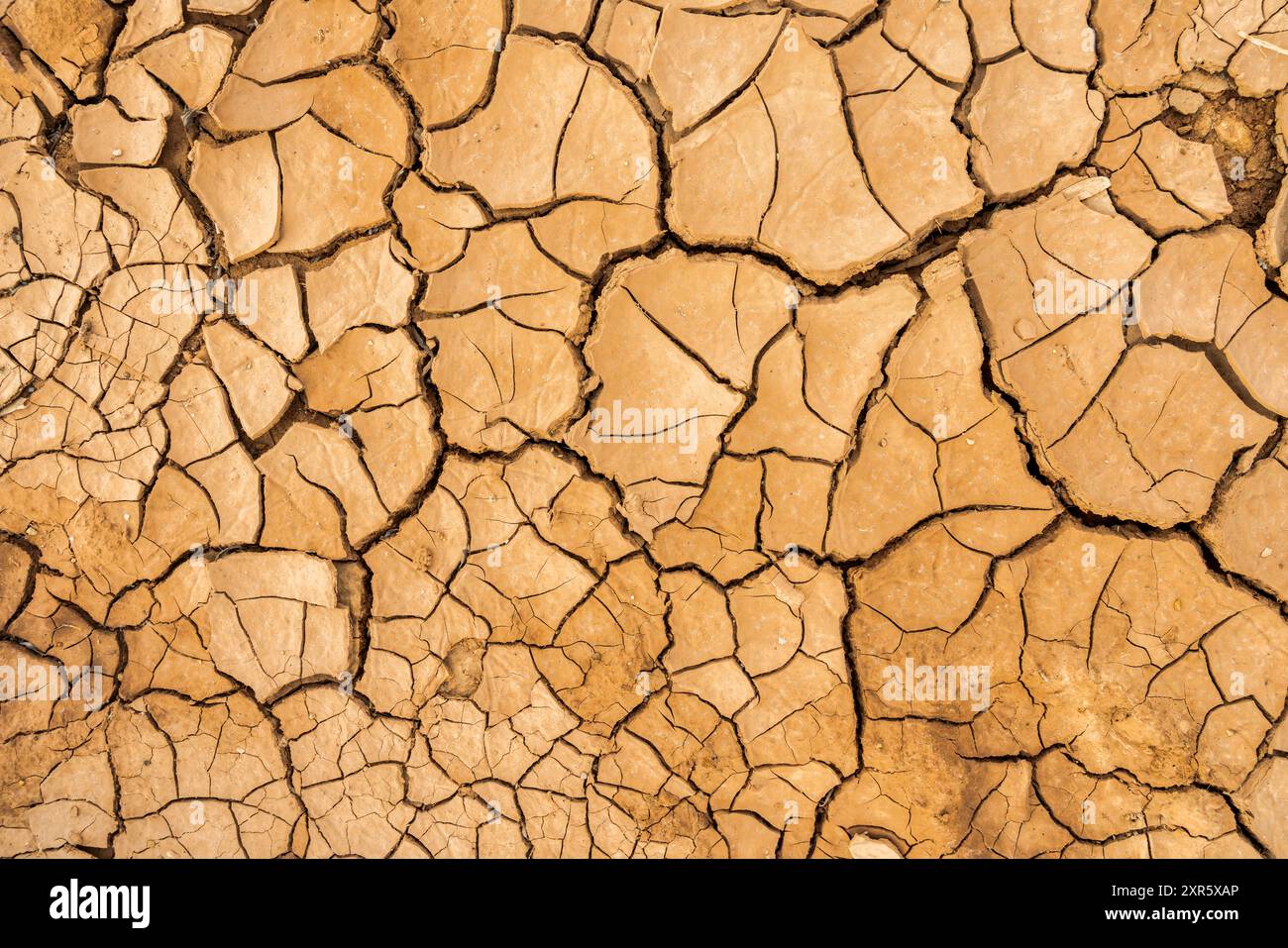 dry mud texture in arid soil Stock Photo - Alamy