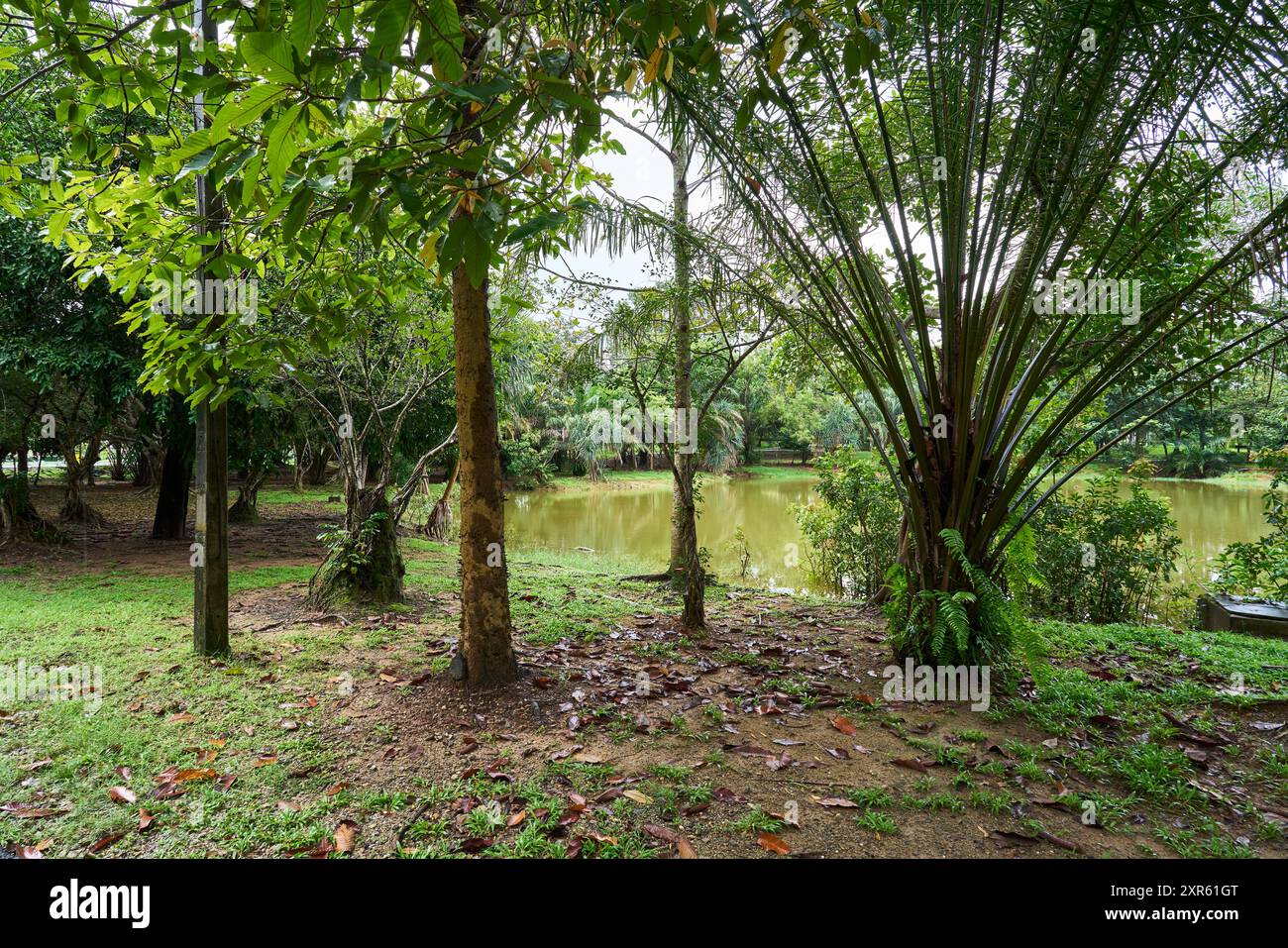 The King Rama IX city park in the island of Phuket, Thailand Stock ...