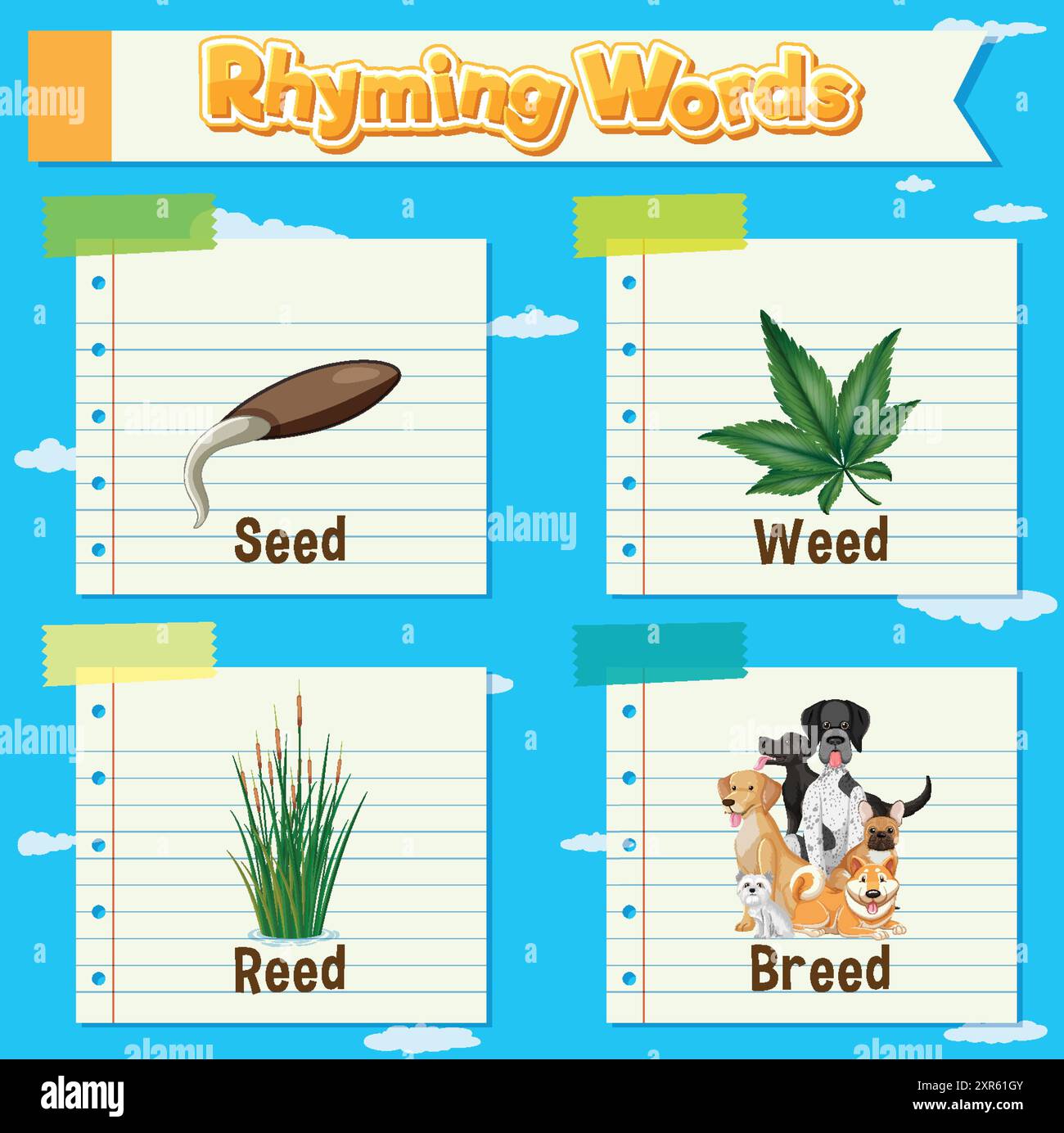 Illustration of rhyming words with images Stock Vector Image & Art - Alamy