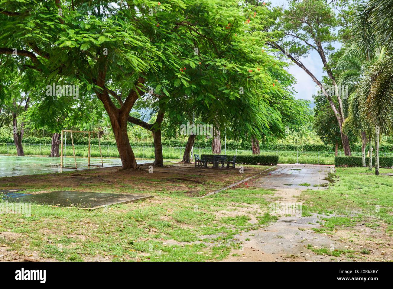 The King Rama IX city park in the island of Phuket, Thailand Stock ...