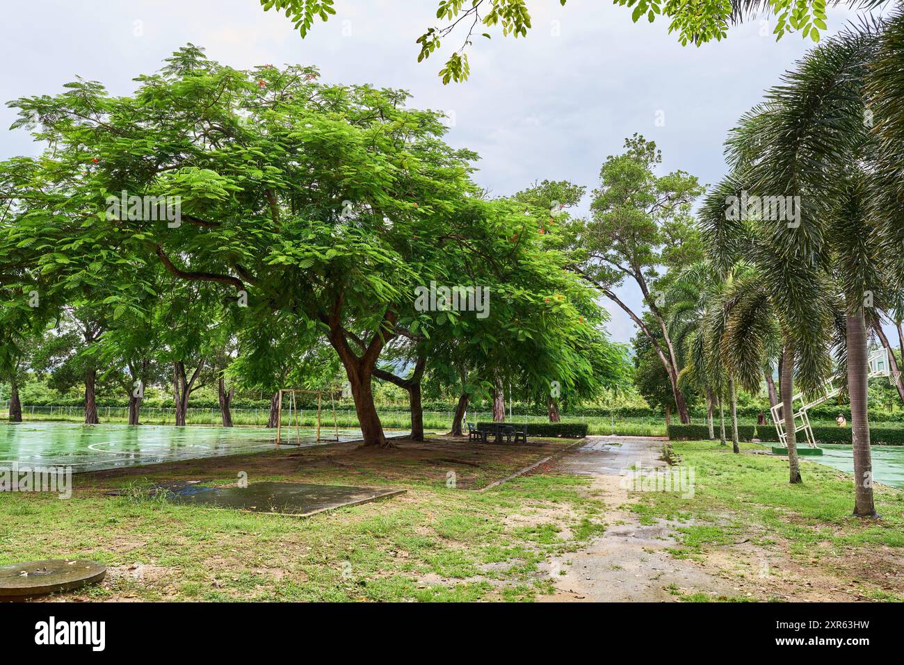 The King Rama IX city park in the island of Phuket, Thailand Stock ...