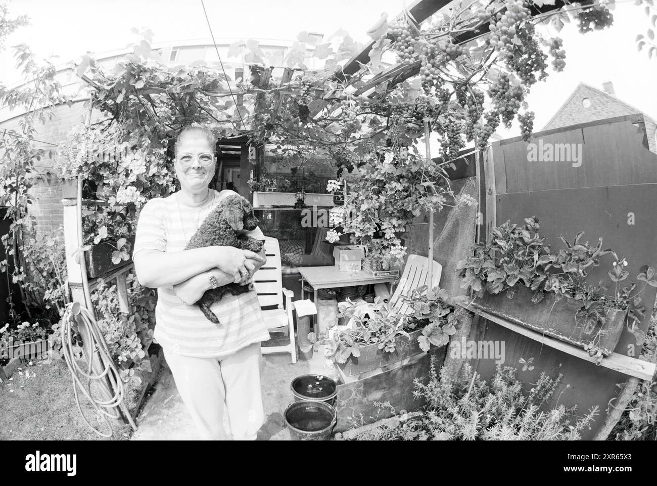 Garden pride of the Van Straten family, 20-08-1992, Whizgle Dutch News ...