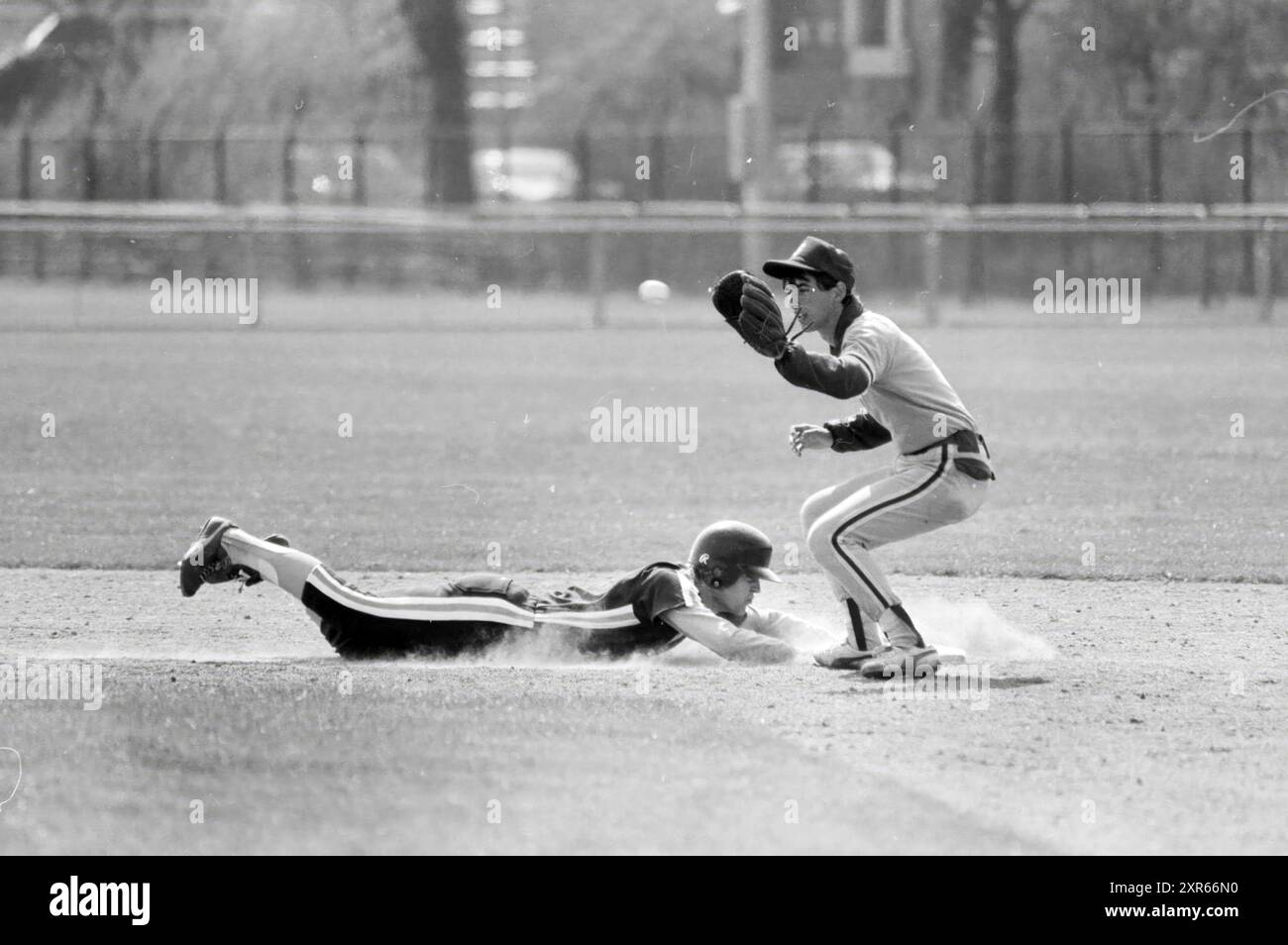Terrasvogels - Storks, Baseball, 29-04-1984, Whizgle Dutch News ...
