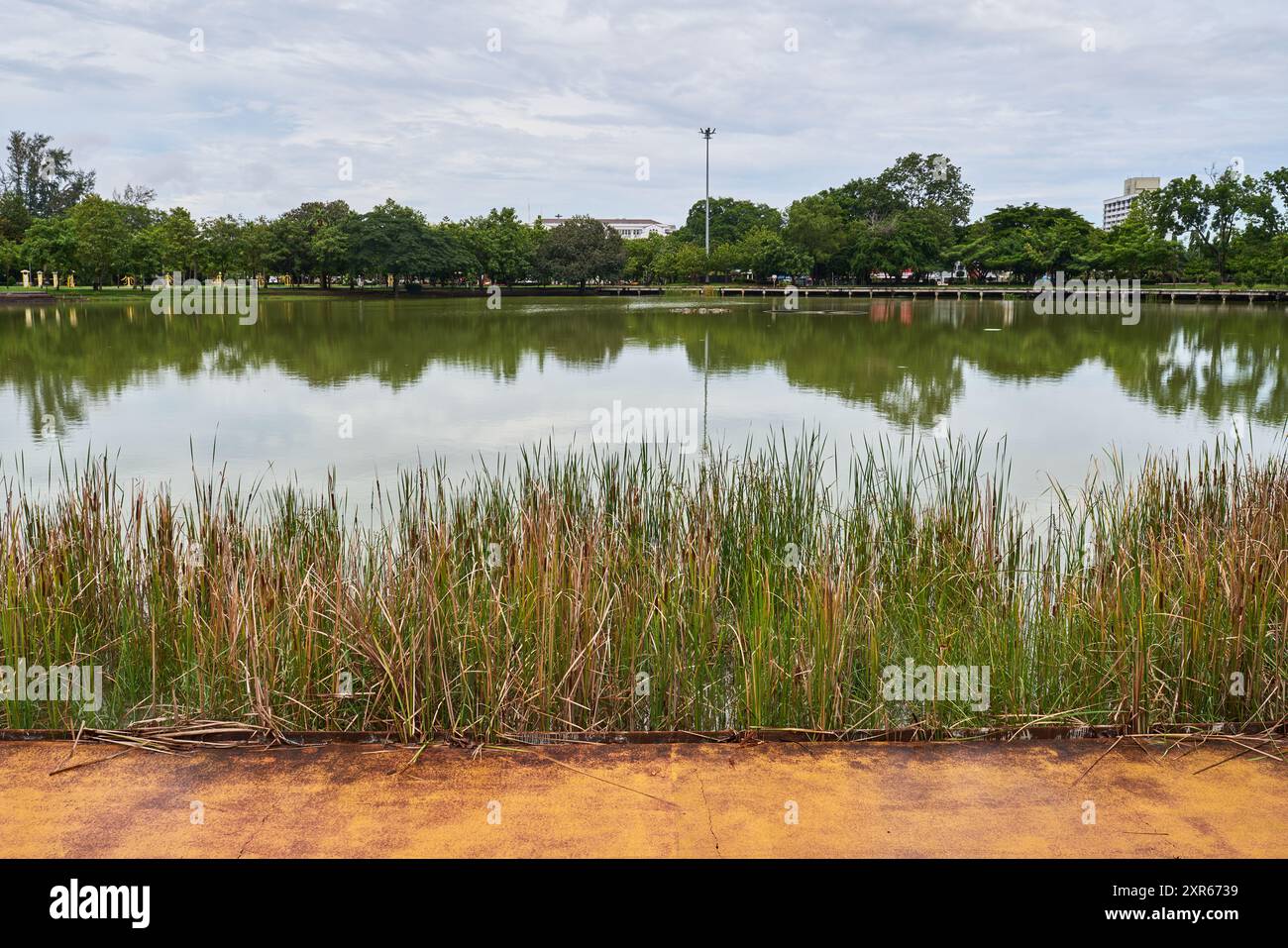 The King Rama IX city park in the island of Phuket, Thailand Stock ...