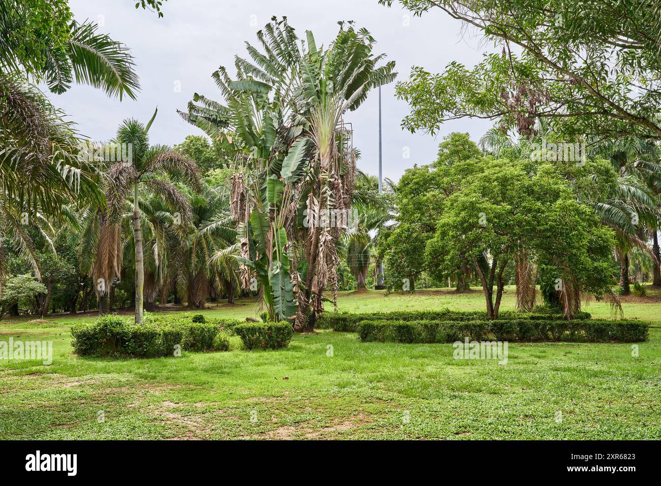 The King Rama IX city park in the island of Phuket, Thailand Stock ...