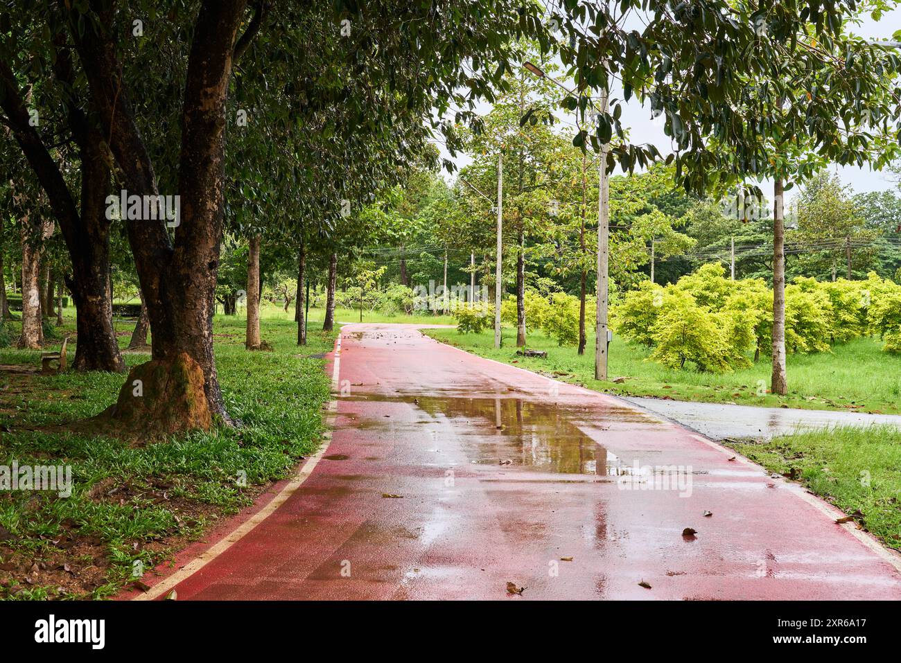 The King Rama IX city park in the island of Phuket, Thailand Stock ...