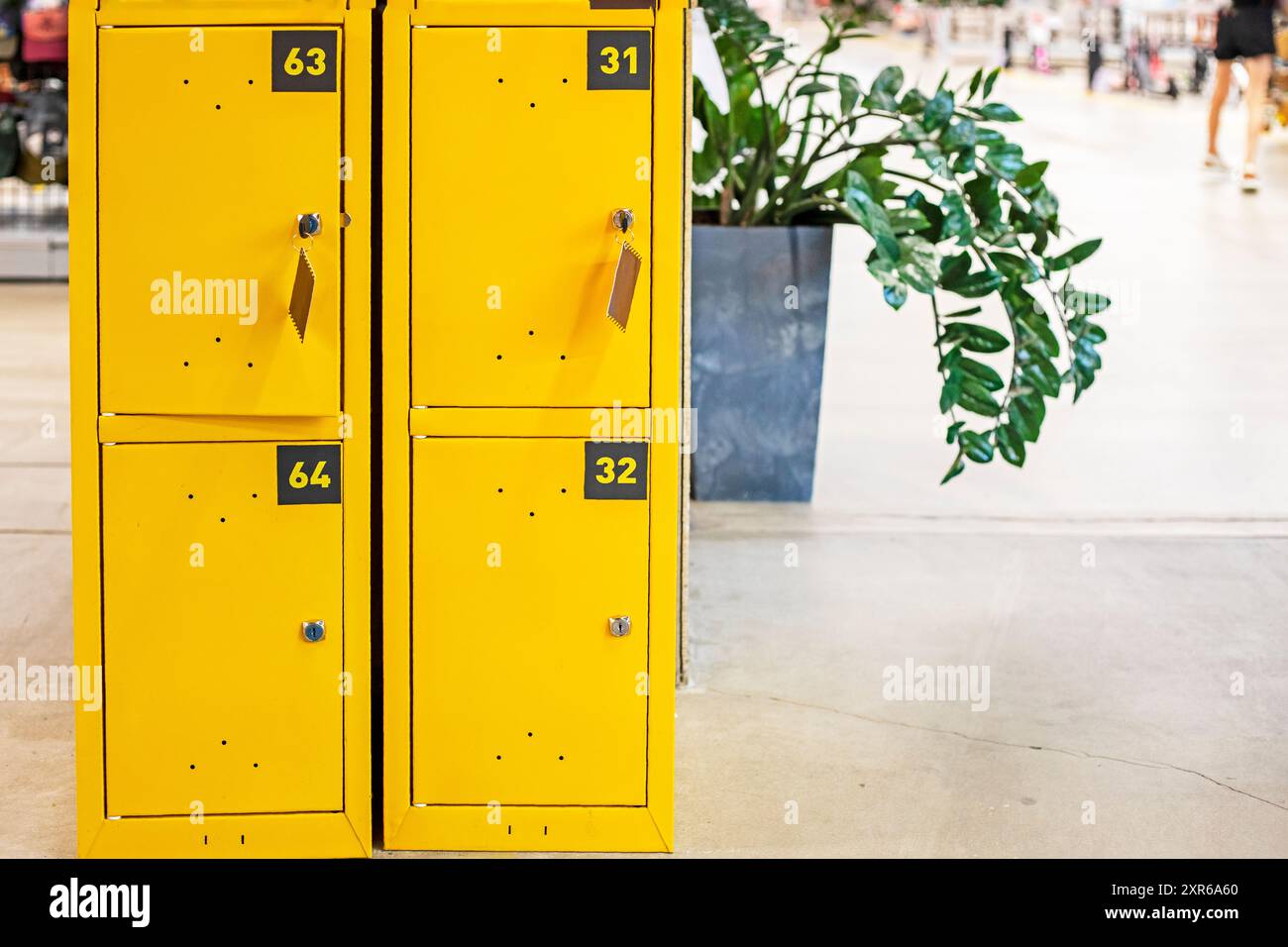 bright yellow lockers for personal belongings in the hall, in the ...