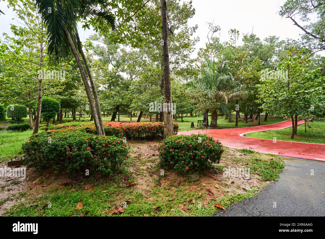 The King Rama IX city park in the island of Phuket, Thailand Stock ...