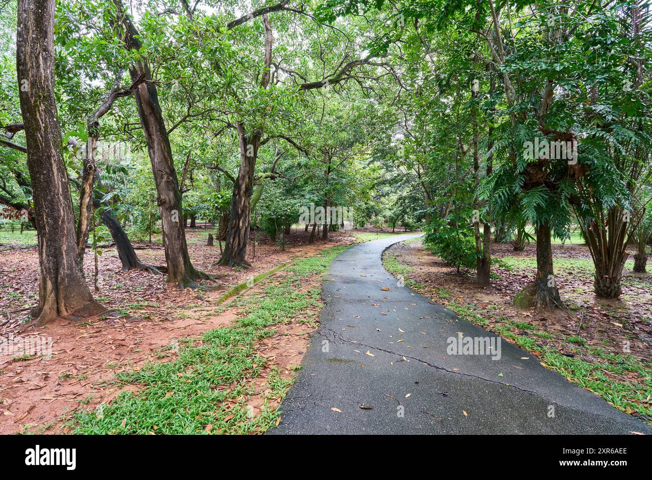 King rama park phuket hi-res stock photography and images - Alamy