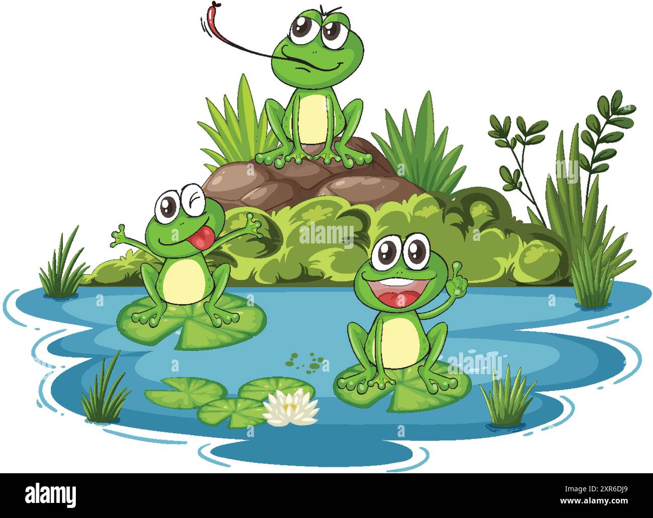 Three cheerful frogs in a pond Stock Vector Image & Art - Alamy