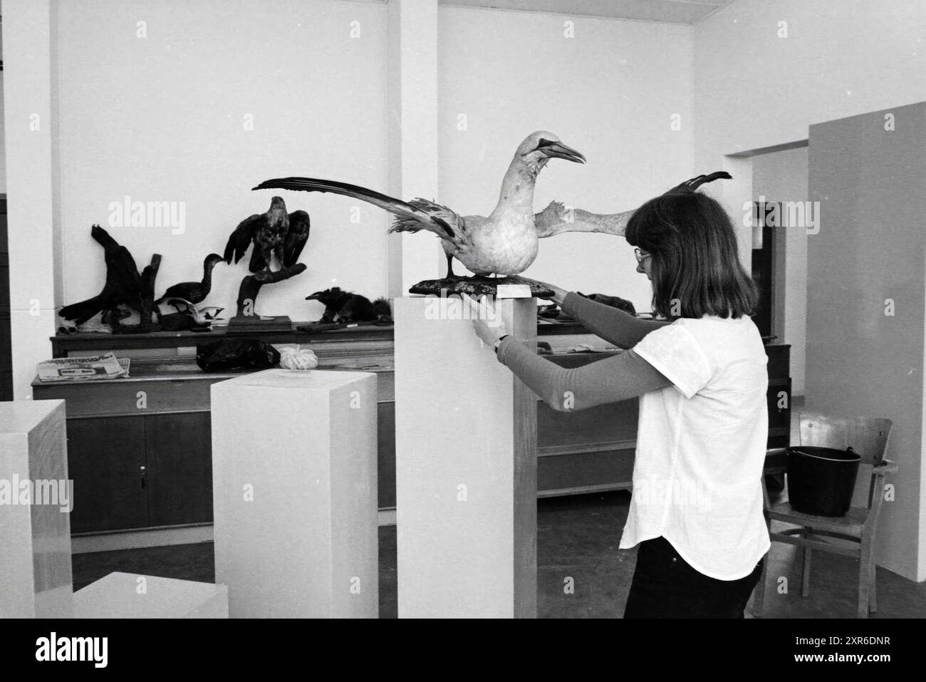 Interior pieter vermeulen museum hi-res stock photography and images ...