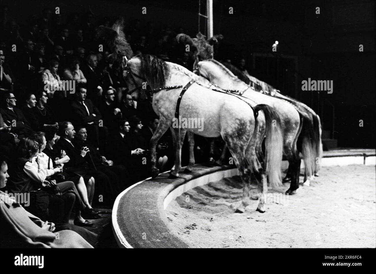 Circus Althoff, Circus, 28-12-1962, Whizgle Dutch News: Historic Images ...