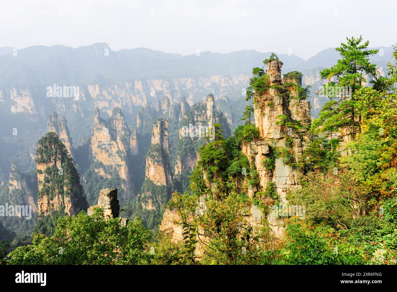 Amazing view of natural quartz sandstone forest (Avatar Rocks Stock ...