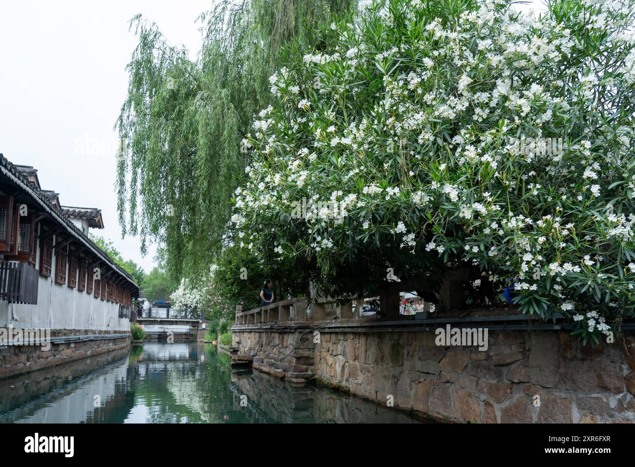 Suzhou, China - June 11, 2024 : A canal in Suzhou, China, runs along a ...