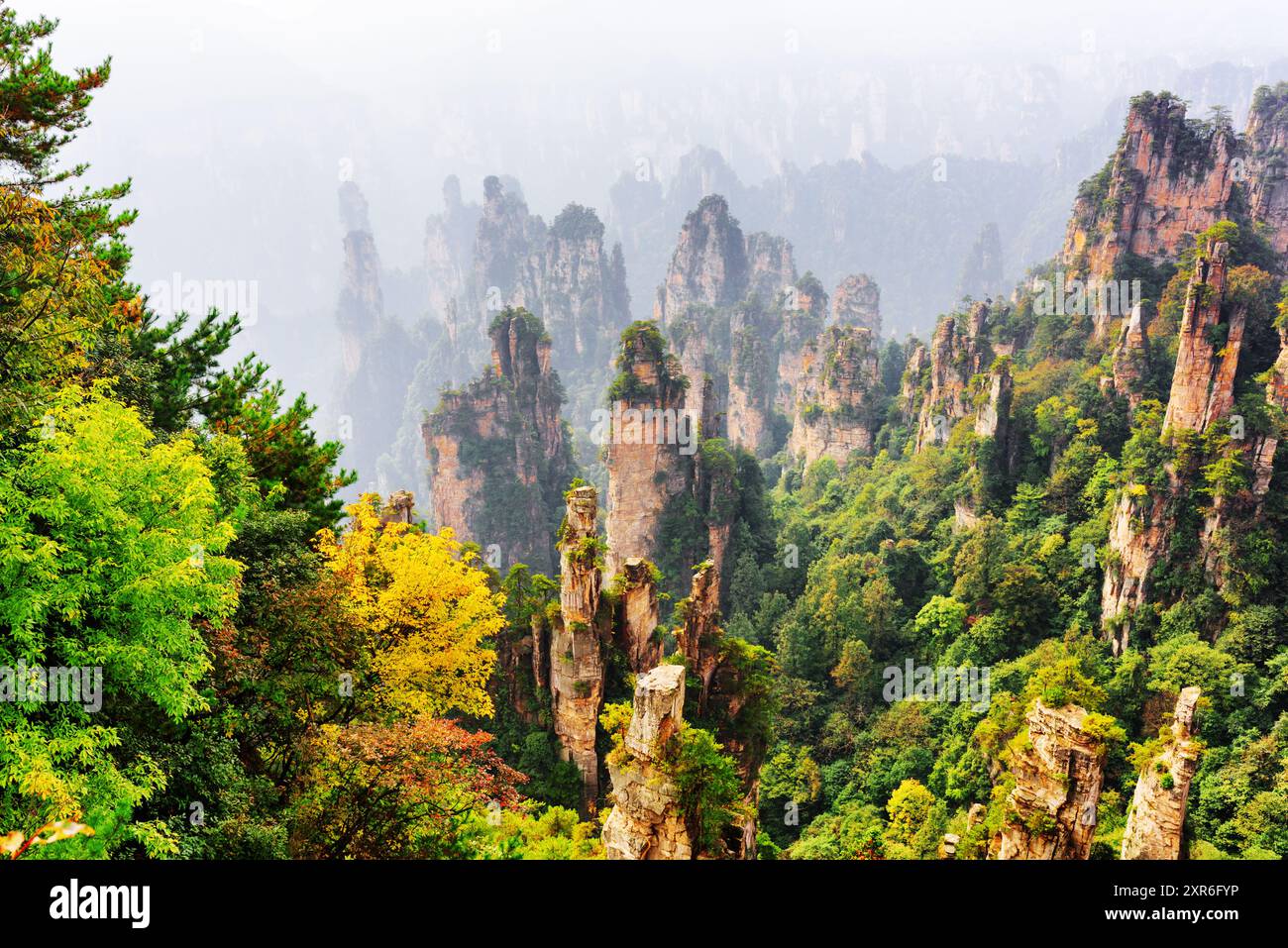 Top view of natural quartz sandstone forest among autumn woods Stock ...