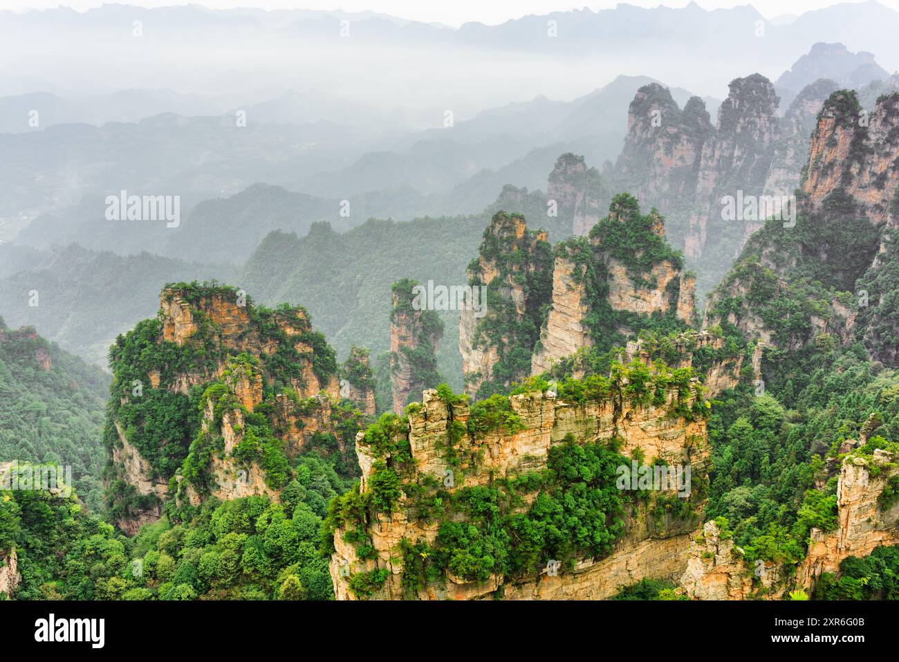 Amazing view of trees growing on steep cliffs (Avatar Rocks Stock Photo ...