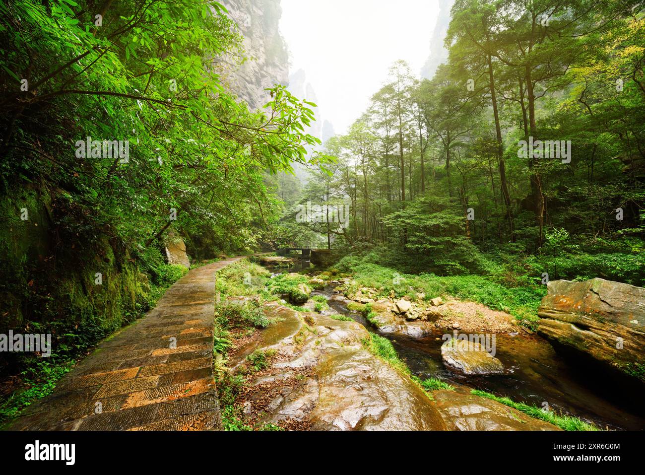 Scenic stone walkway along river. Amazing summer landscape Stock Photo ...