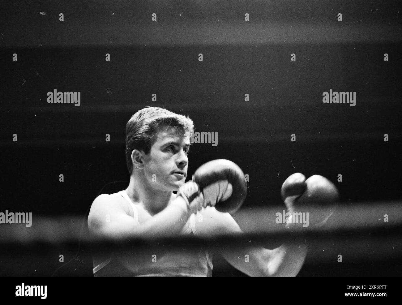 Rob de boer dolron hi-res stock photography and images - Alamy