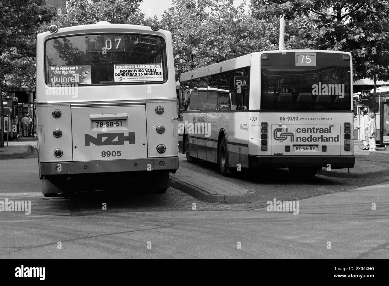 Buses nzh hi-res stock photography and images - Alamy