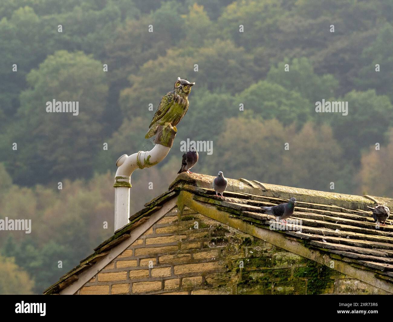 House with pipe hi-res stock photography and images - Alamy