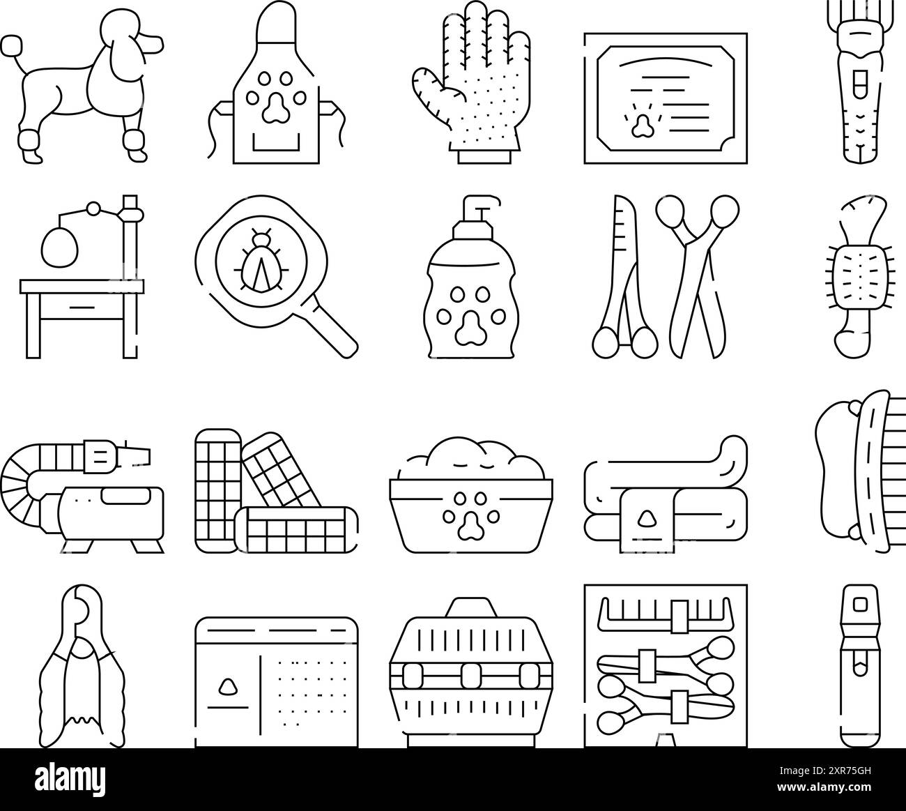 Groomer Pet Service Collection Icons Set Vector Stock Vector Image ...