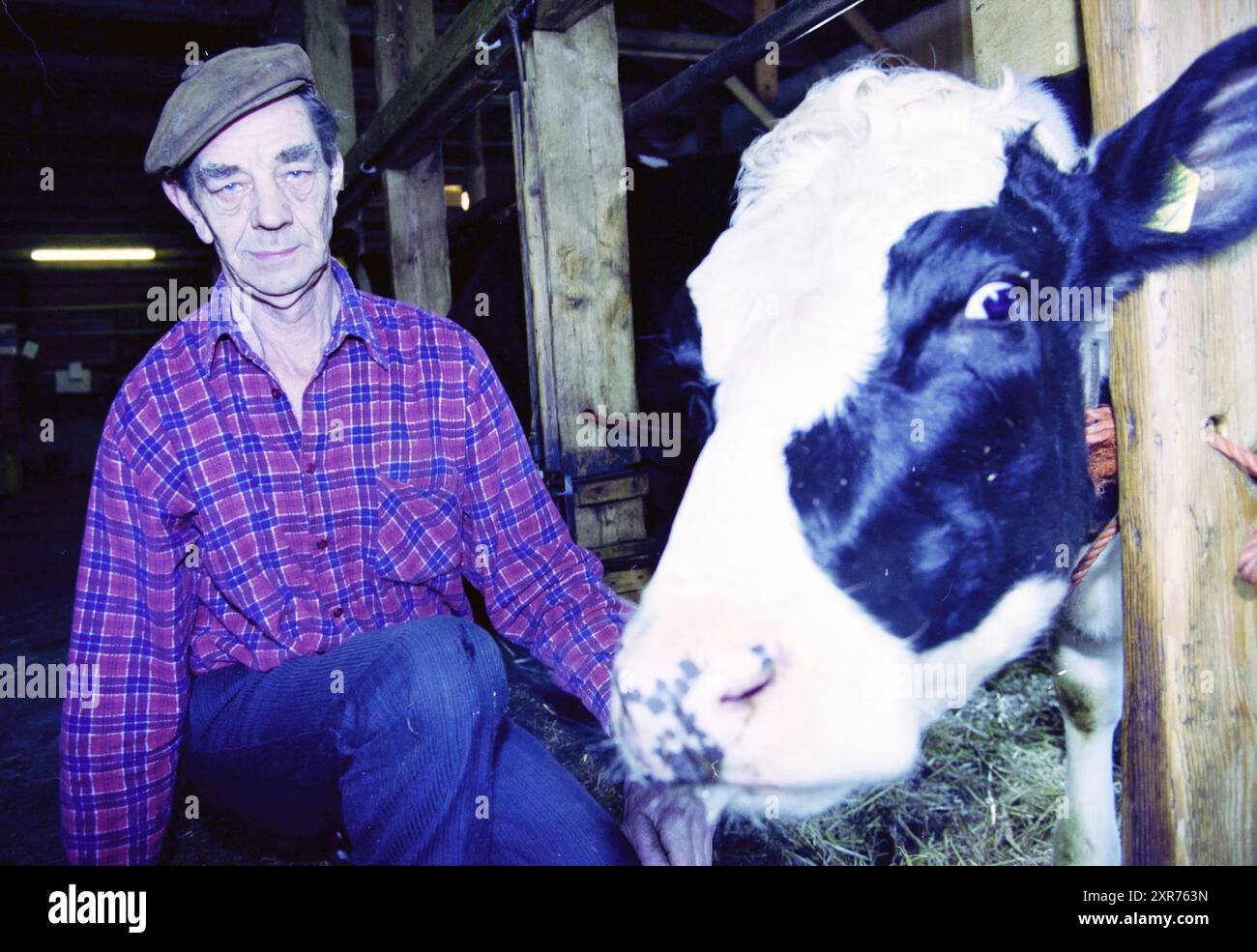 Jan van ruiten hi-res stock photography and images - Alamy