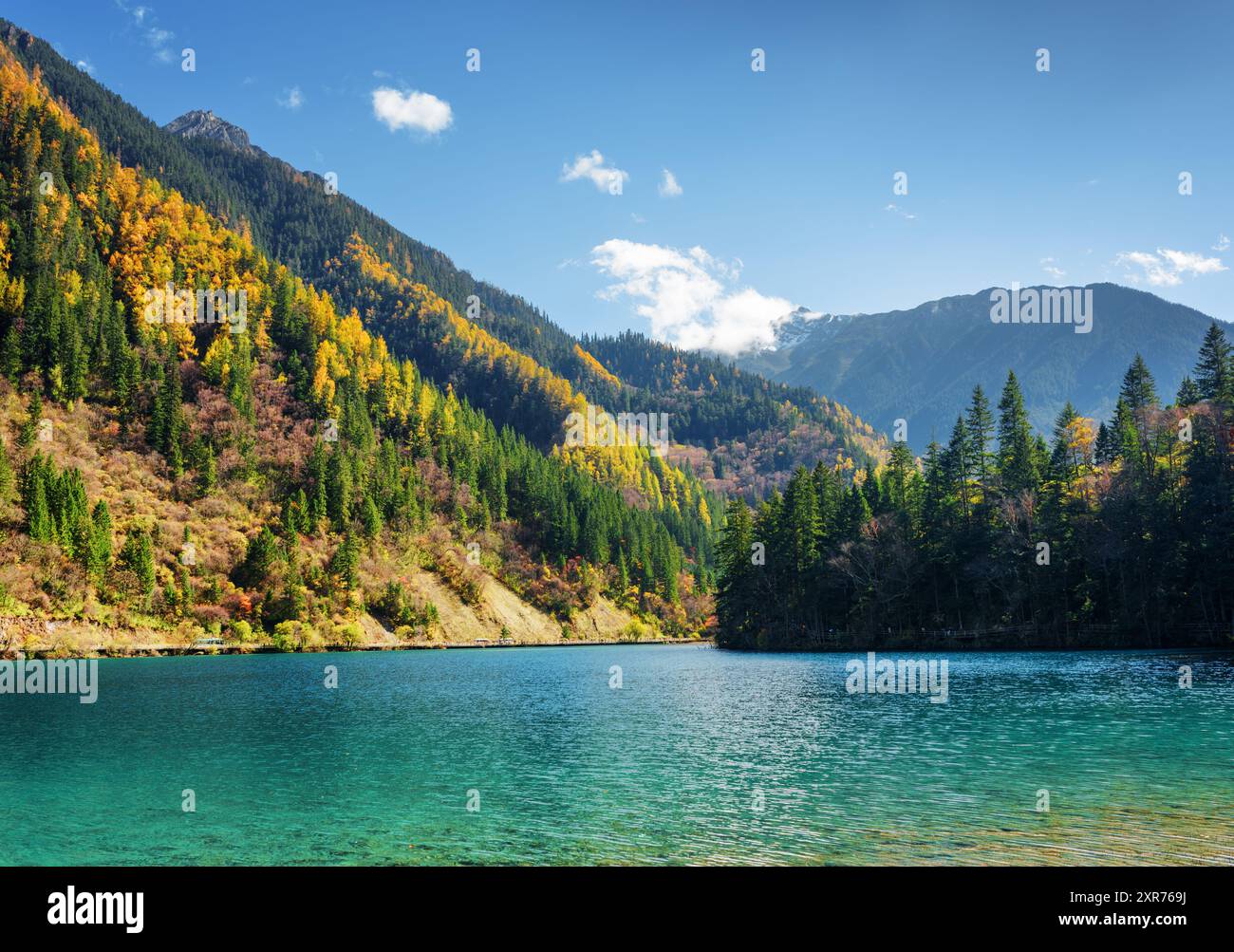Beautiful view of the Arrow Bamboo Lake with azure crystal water Stock ...