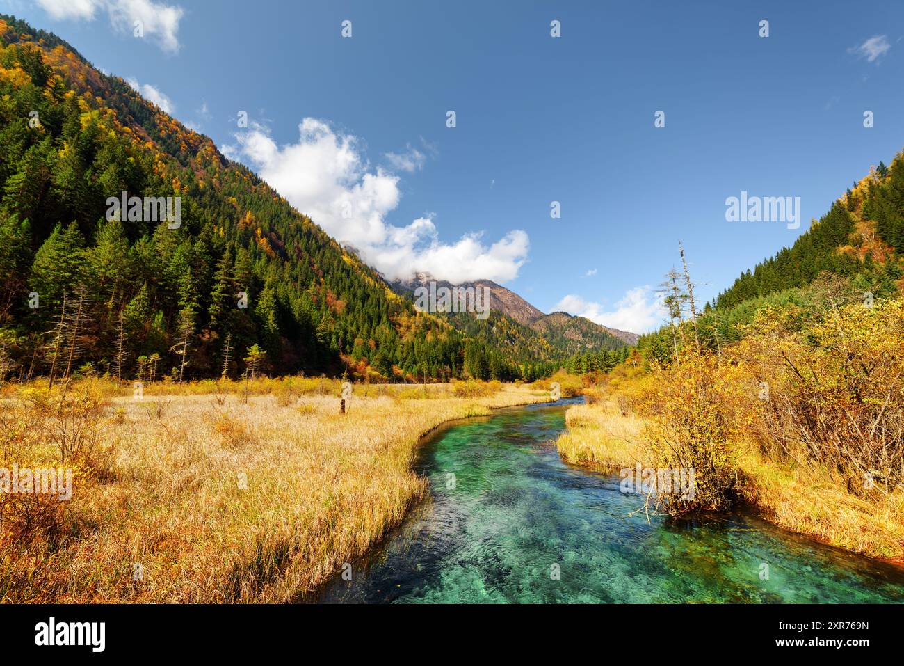 Amazing view of green river with crystal water among fall fields Stock ...