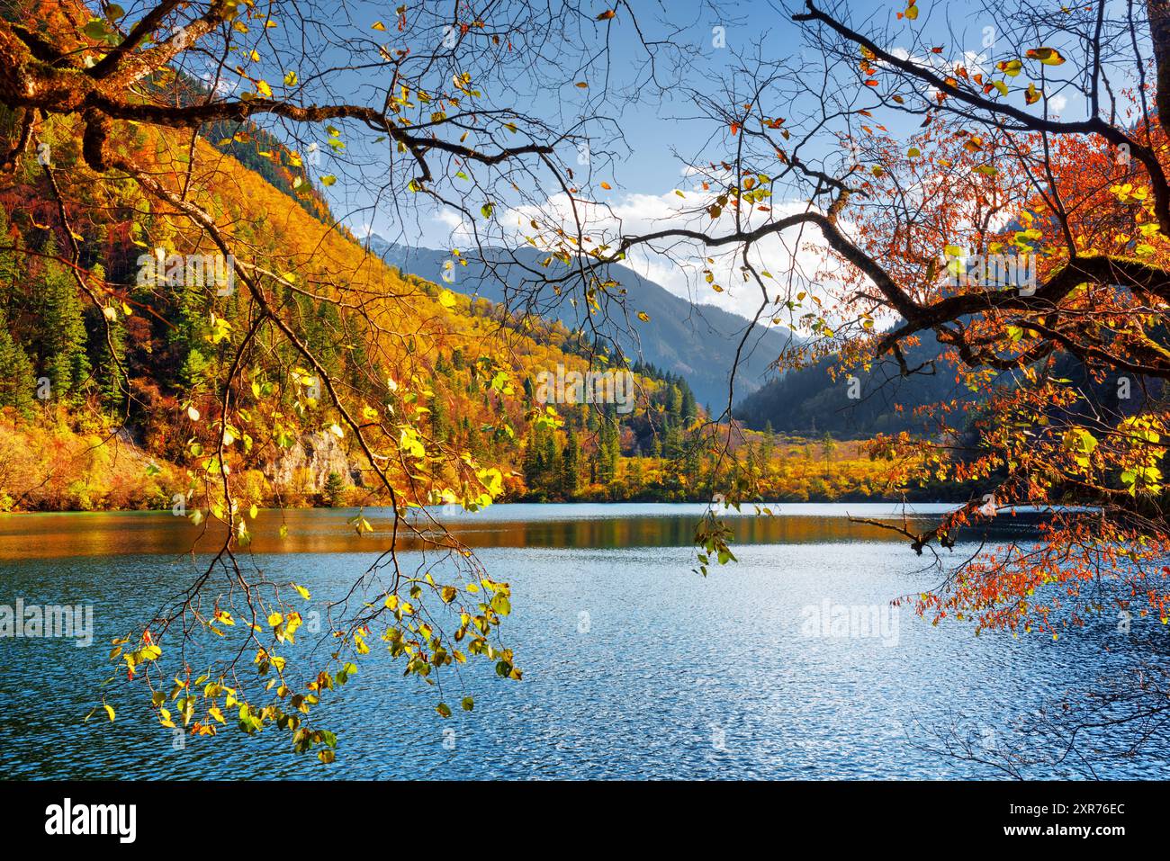 Amazing view of the Panda Lake among colorful fall forest Stock Photo ...